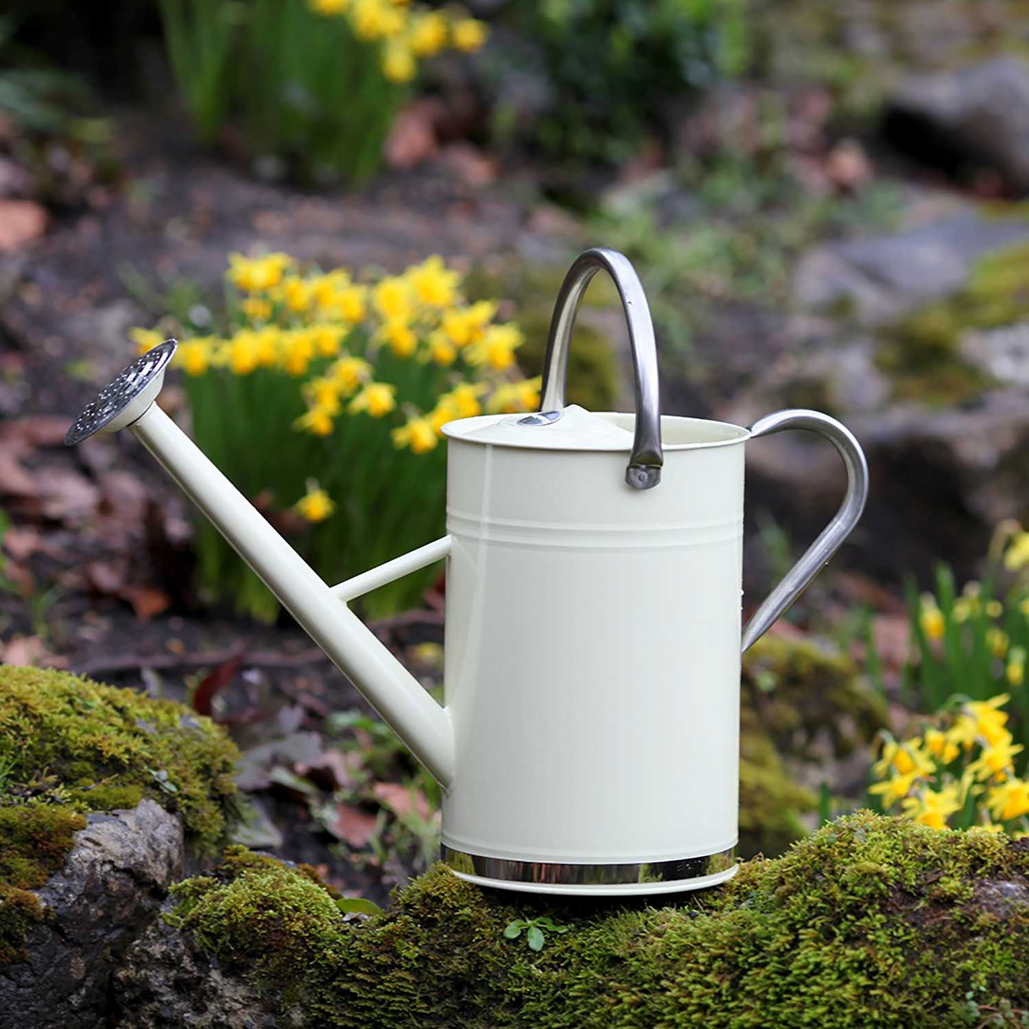 Watering Tips + Tricks - Dewar Nurseries